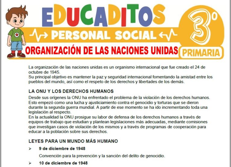 Ejercicios de Organización de las Naciones Unidas para Tercero de ...